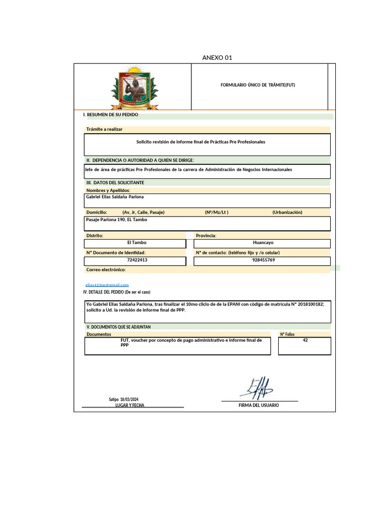 Informe Final PPP | PDF | Business | Presupuesto