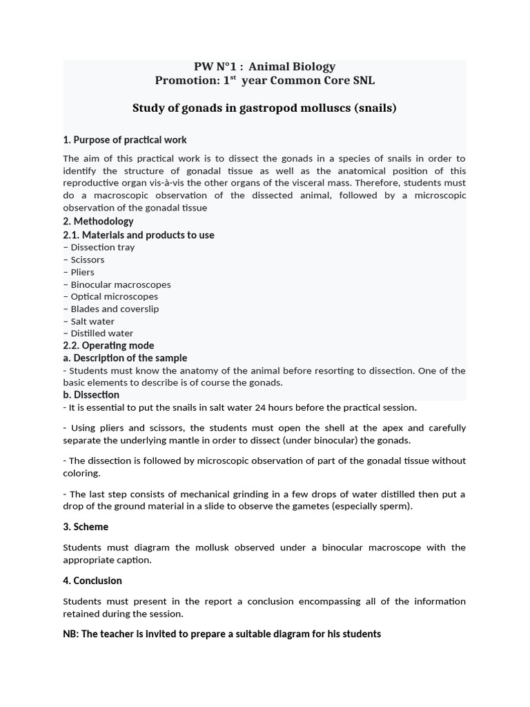 PW #2 Animal Biology | PDF
