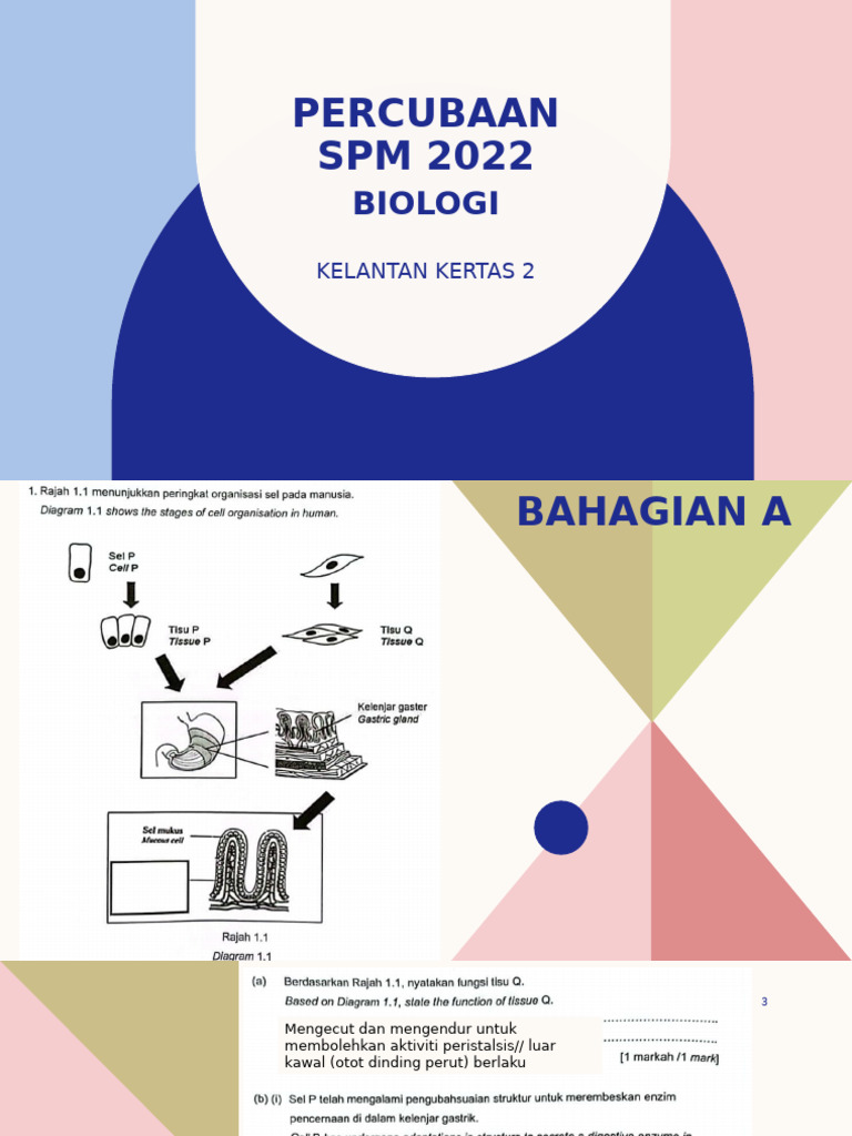 Skema Trial Kelantan 2022 | PDF