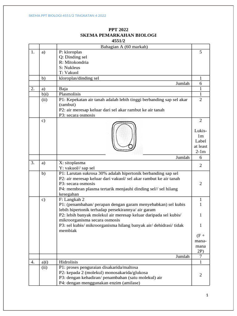 Skema PPT Bio K2 F4 | PDF