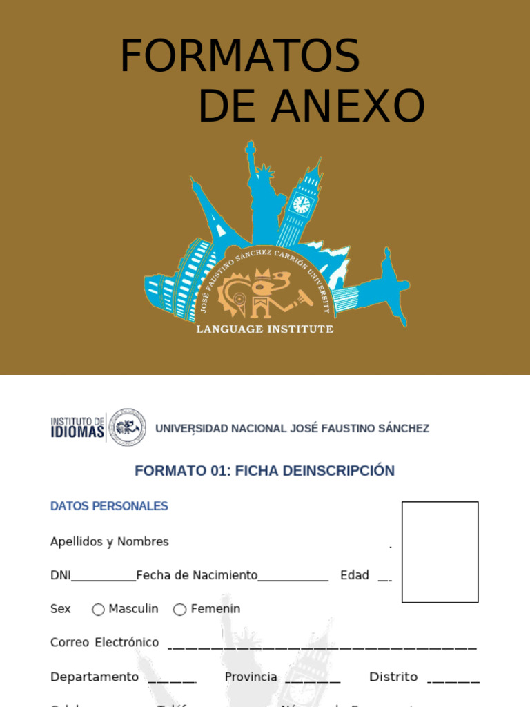 Formatos de Anexo | PDF