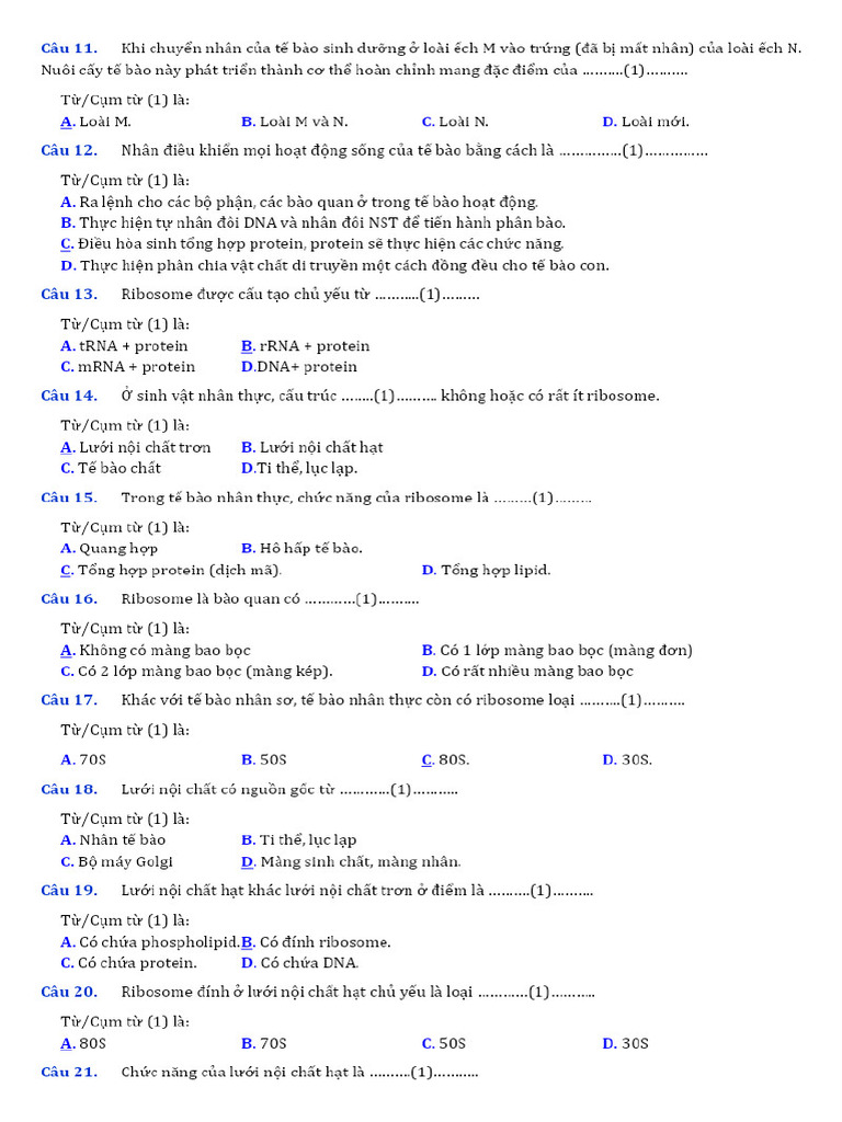 Phan I Cau Hoi Trac Nghiemdocx - 1600 - PDF - Gdrive.vip | PDF