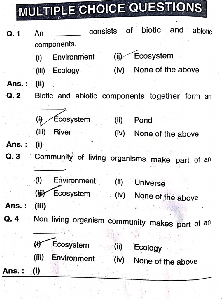 Environment Notes | PDF