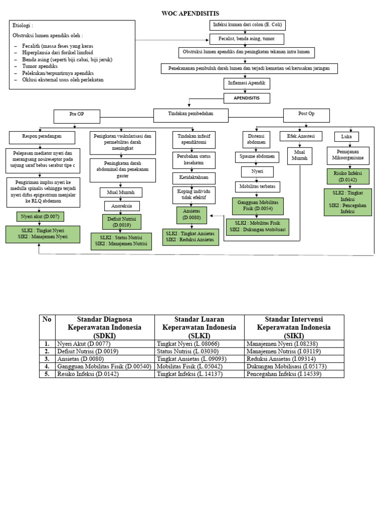 Woc Apendisitis | PDF