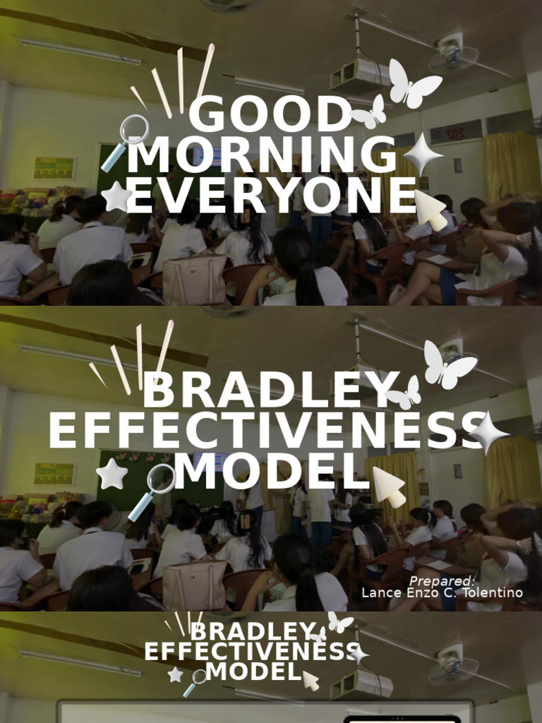 Bradley Effectiveness Model | PDF | Career & Growth