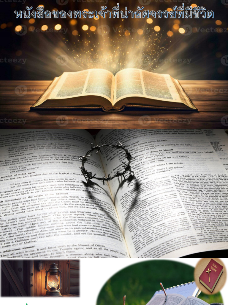 the Bible | PDF