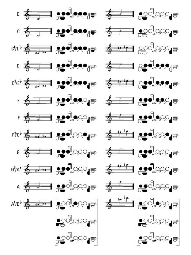 Flauta Traversa Posiciones | PDF