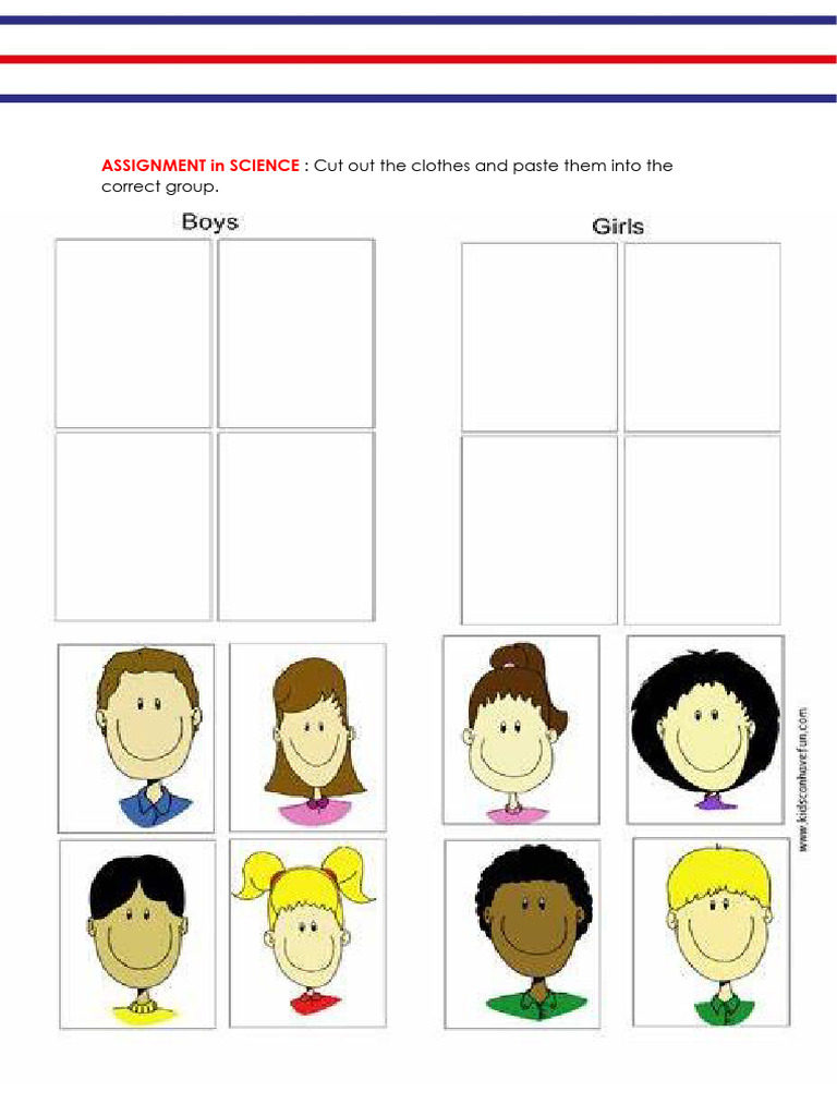 Boy or Girl Activity | PDF