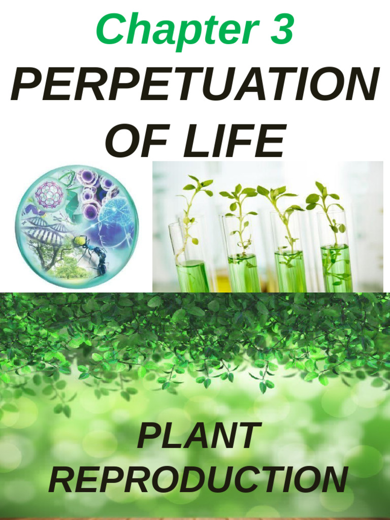 Perpetuation of Life 032227 | PDF | Rna | Dna