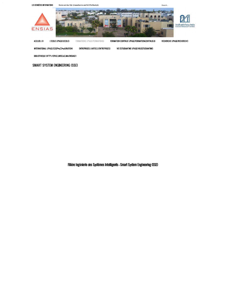 Filière Ingénierie Des Systèmes Intelligents - Smart System Engineering (SSE) | PDF