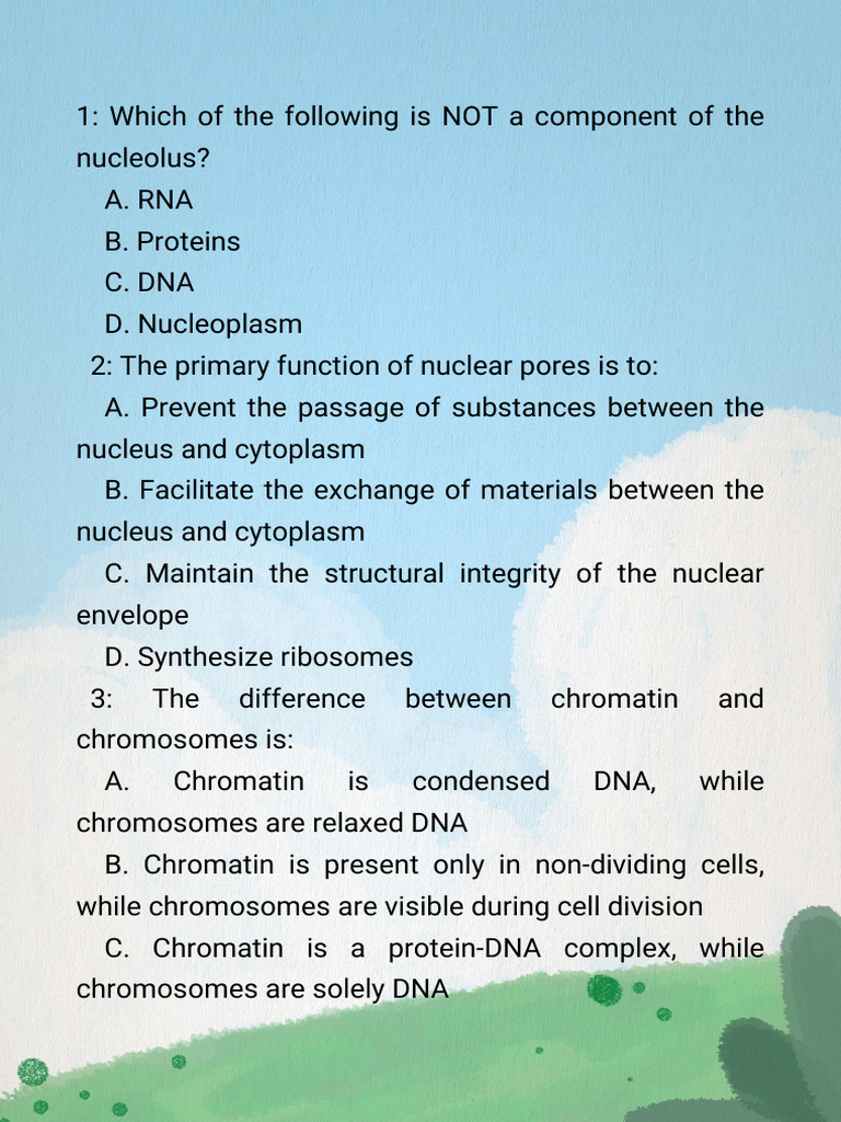 Nucleus Mcqs | PDF | Cell Nucleus | Chromosome