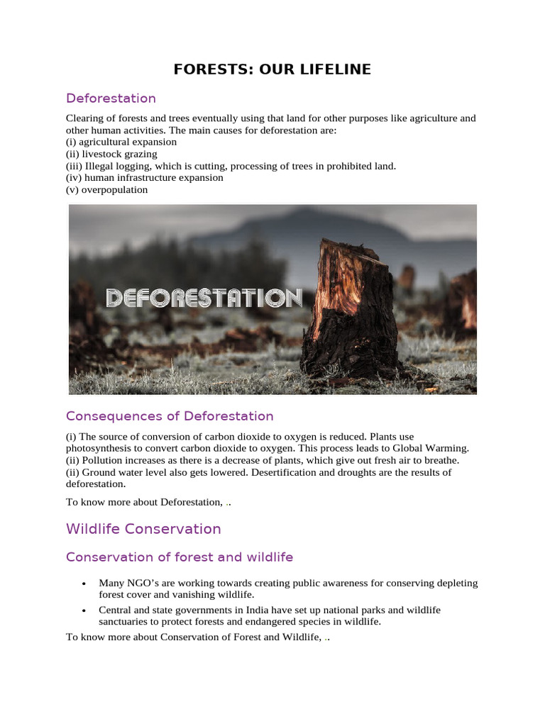 FORESTS | PDF | Deforestation | Forests