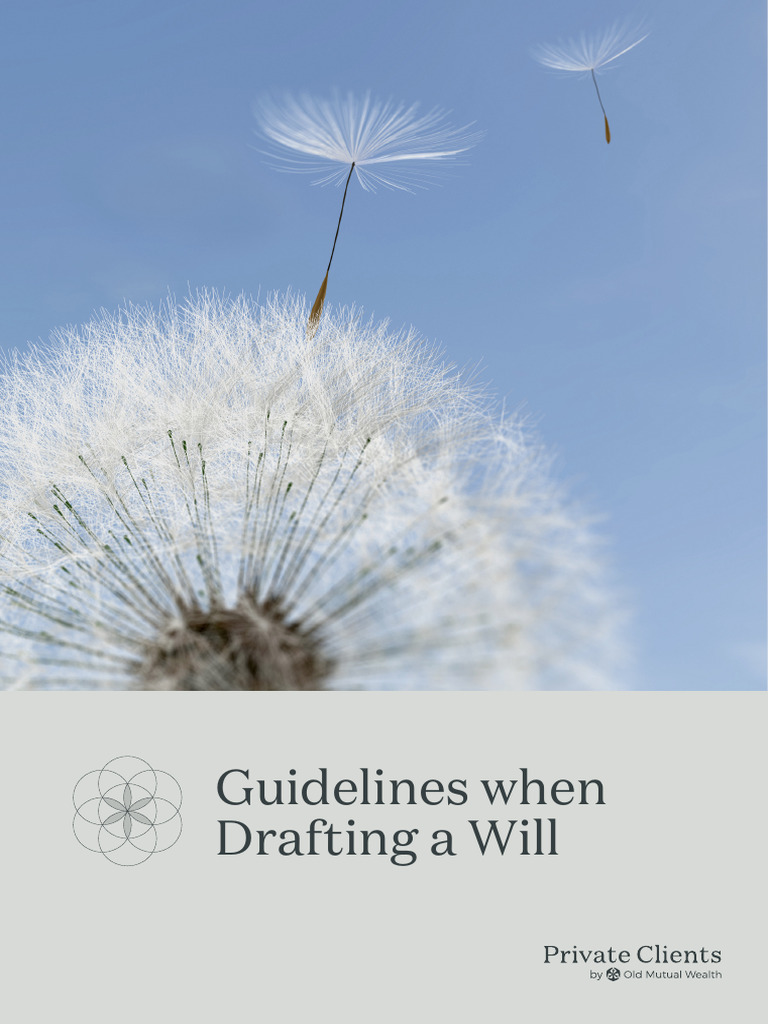 Guidelines When Drafting A Will (2023) | PDF | Will And Testament ...