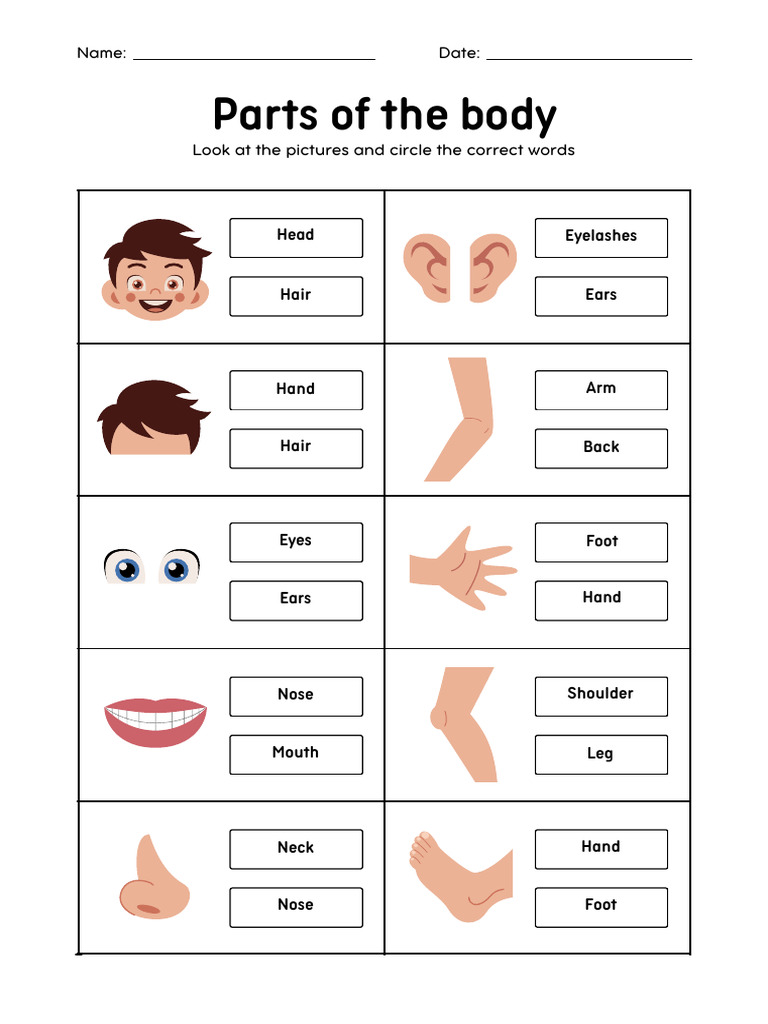 White Colorful Parts of The Body Worksheet PDF | PDF