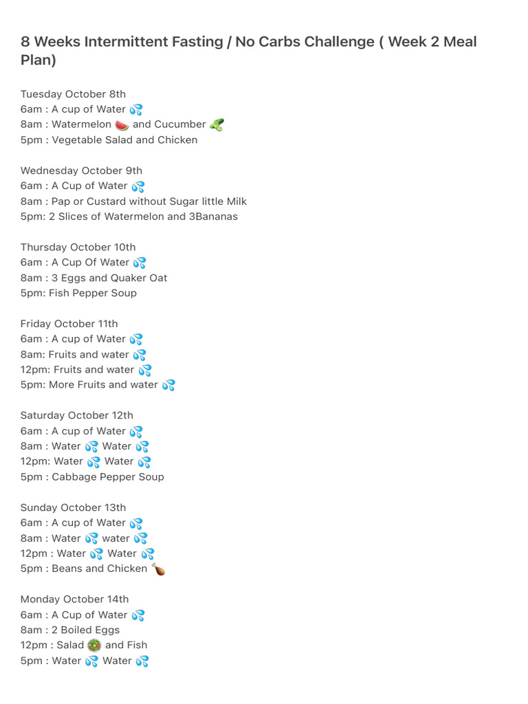 Intermittent Fasting Meal Plan | PDF