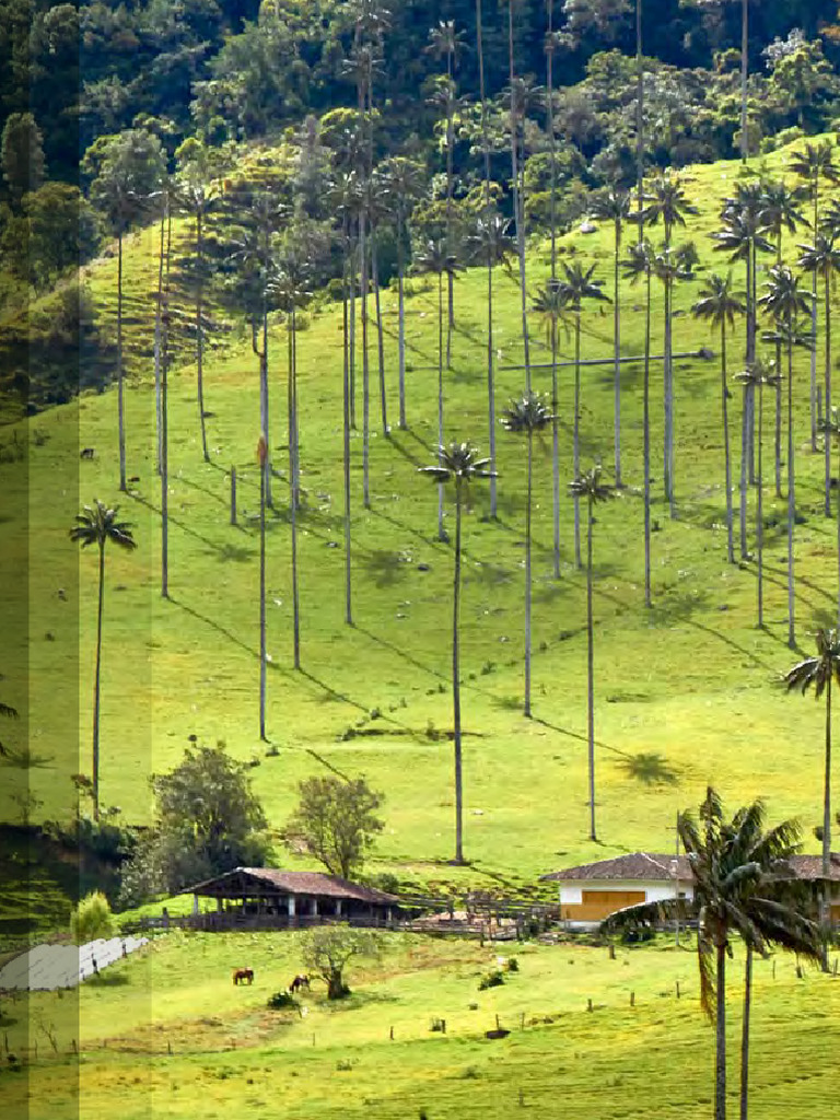 El Desafio de La Descentralización en Colombia Laila Katrina Del Pilar ...