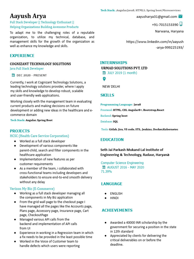 Aayush Full Stack Developer | PDF | Software Development | Information Technology
