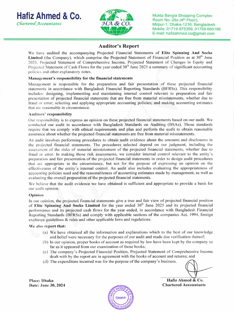 Auditors Report | PDF | Audit | Financial Statement