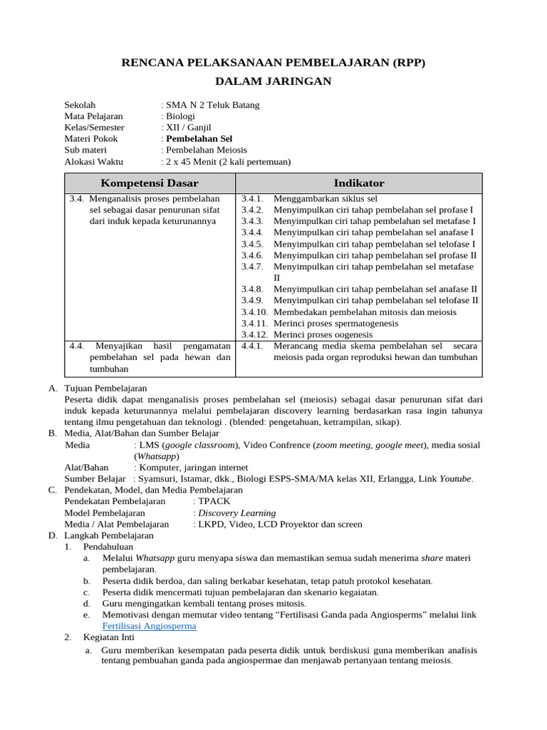 RPP Daring Pembelahan Sel - Meiosis | PDF