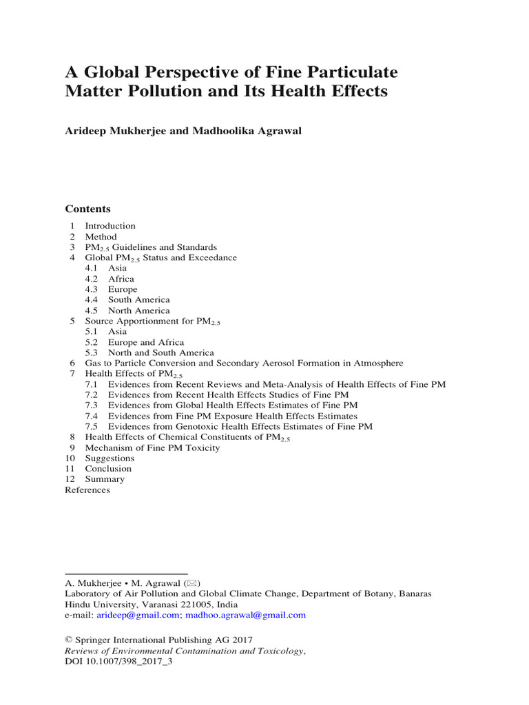 A Global Perspective of Fine Particulate Matter Pollution and Its ...
