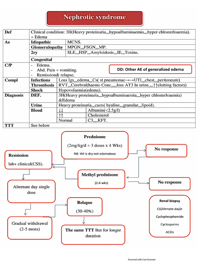Nephrotic Syndrome Chart | PDF