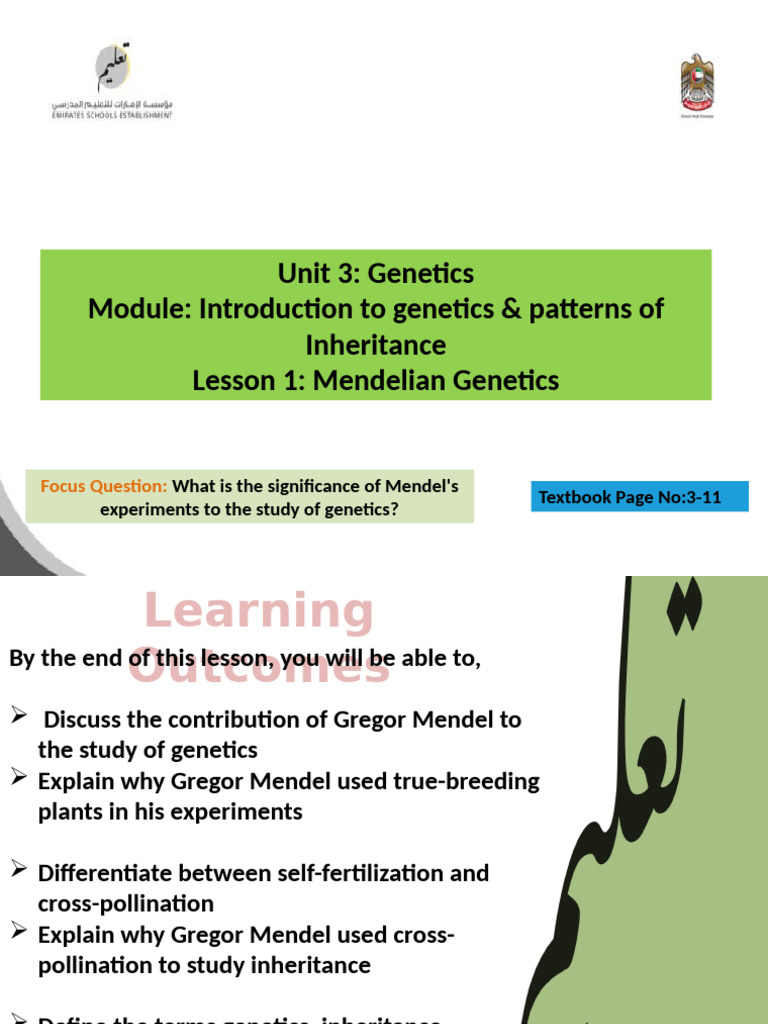 CA Lesson 01 Mendelian Genetics | PDF | Genotype | Dominance (Genetics)