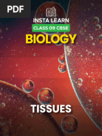 Class 9 - Bio - PPT 1 of 4 - Ls No. 6 - Plant Tissue | PDF | Plant Stem ...