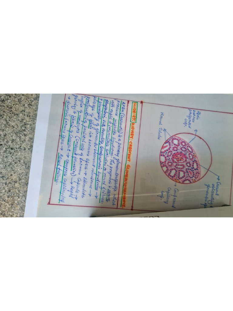 Slide Information-1 Patho | PDF