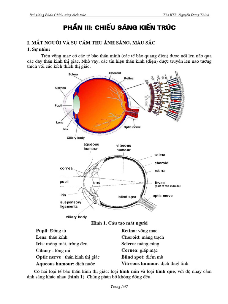 giáo trình chiếu sáng | PDF