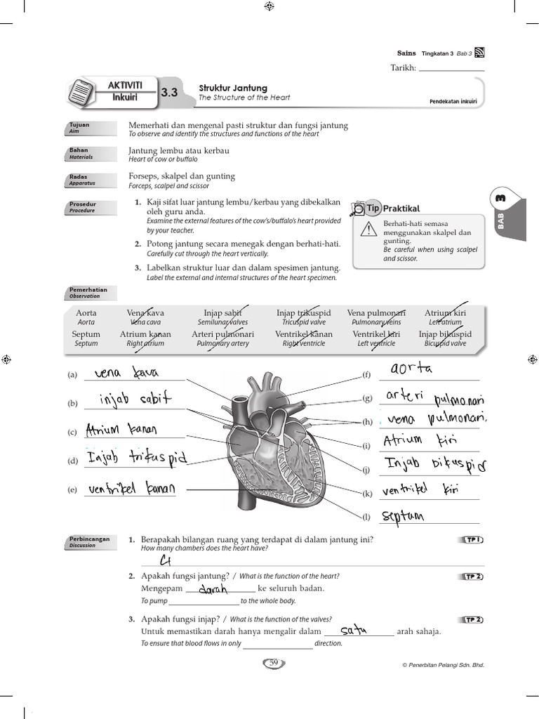 Latihan Sains F3 (6 Jun) | PDF