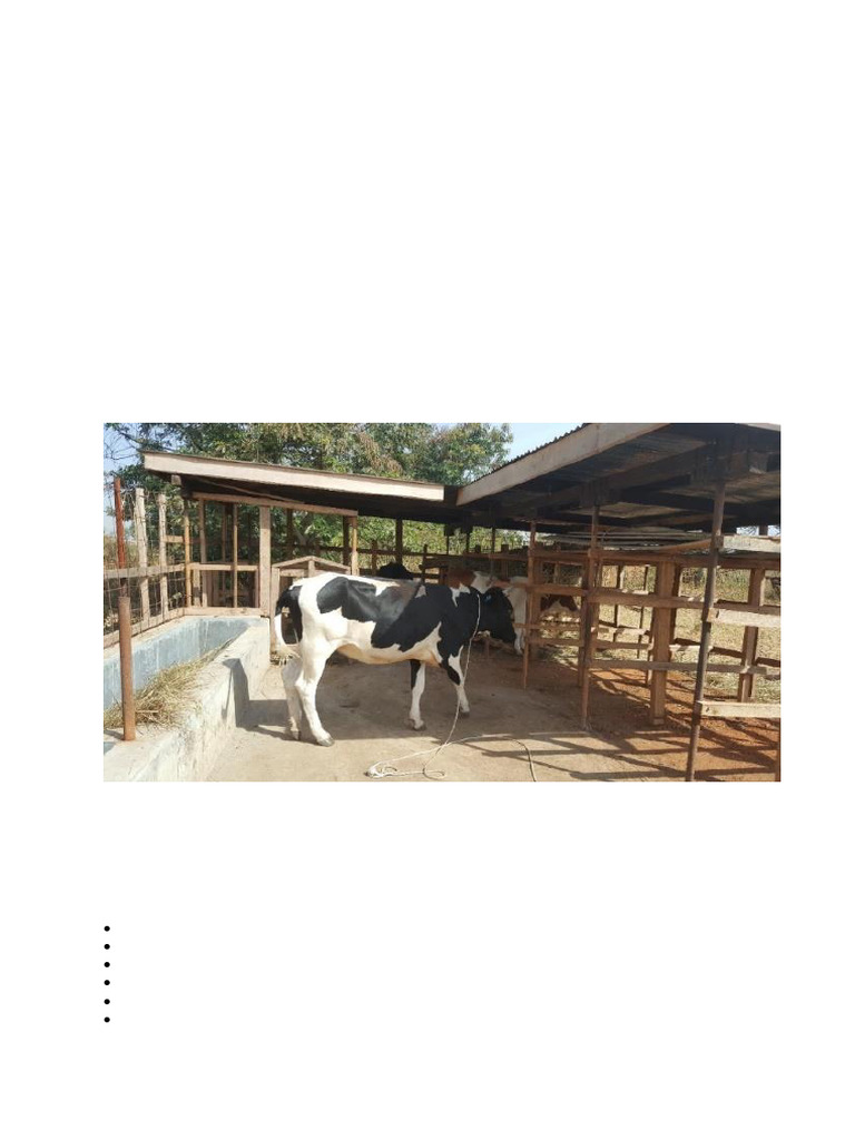 Zero-Grazing Dairy Unit Design Guide | PDF | Cattle | Dairy Farming