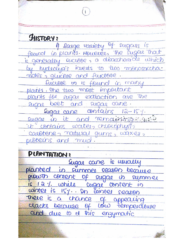 Sugar Notes (Choti) | PDF