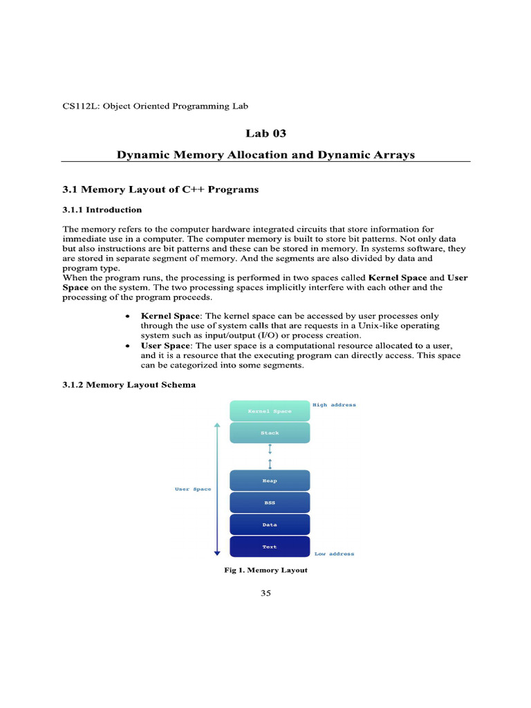 DS Lect 03 (Dynamic Memory & Arrays) | PDF