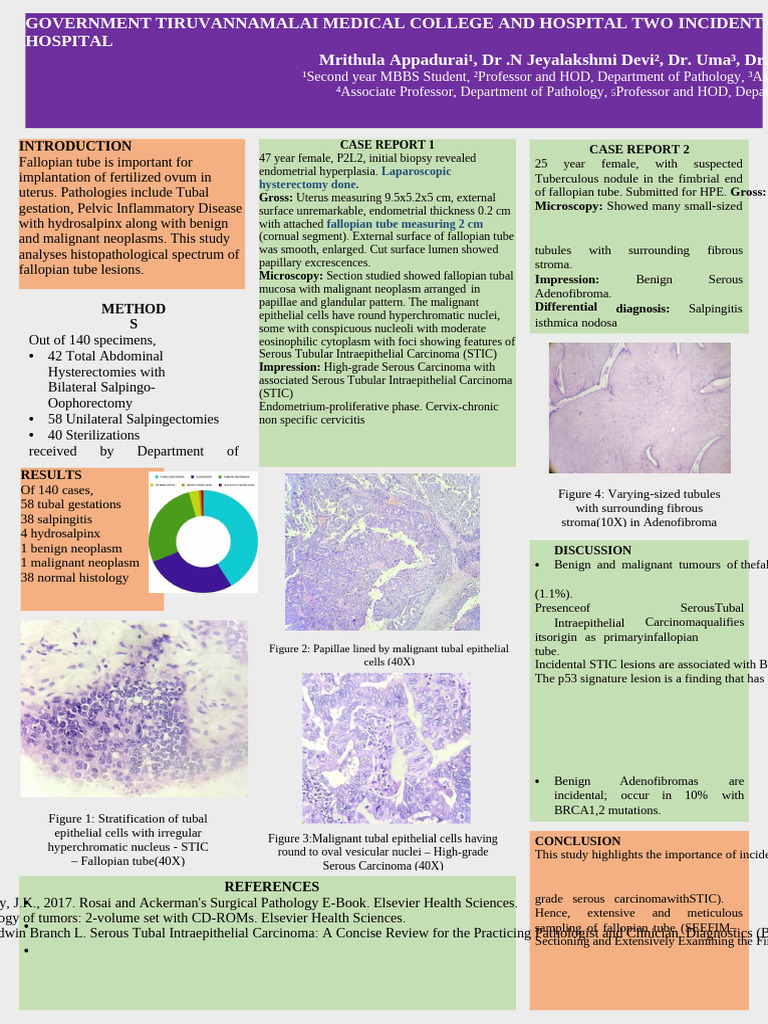 Fallopian Tube | PDF | Neoplasms | Carcinoma
