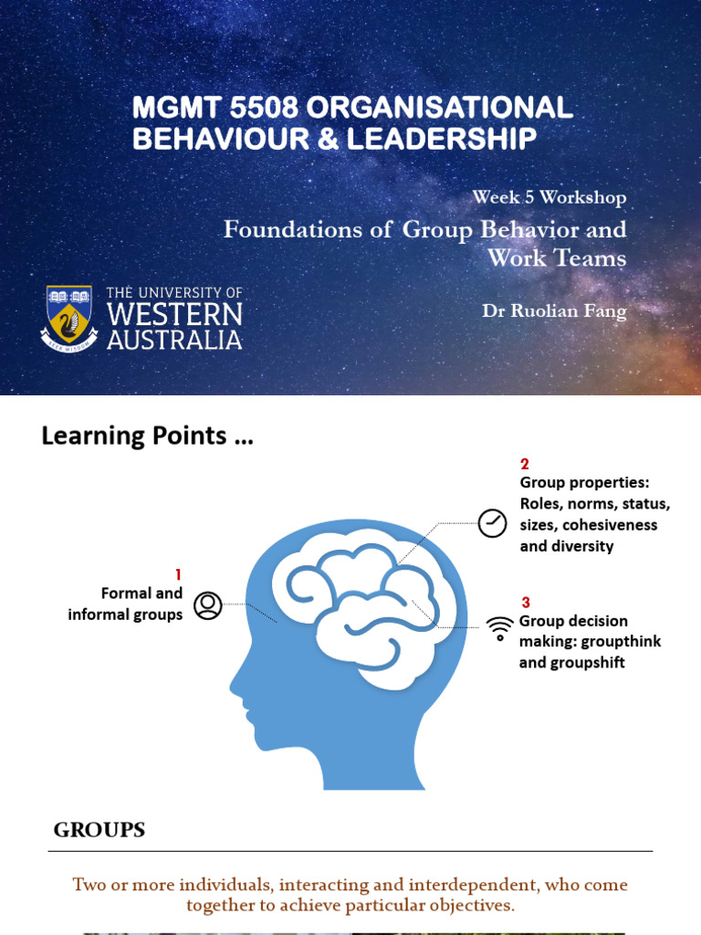 Workshop 5 Group Behavior and Work Teams | PDF | Leadership | Social ...