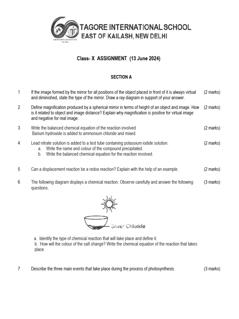 Class X - Science Holiday Homework - 2 | PDF | Chemical Reactions | Stomach