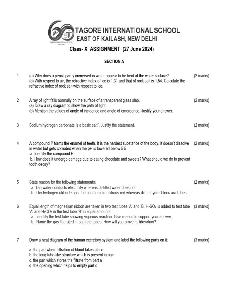 Class X - Science Holiday Homework - 4 | PDF | Acid | Circulatory System