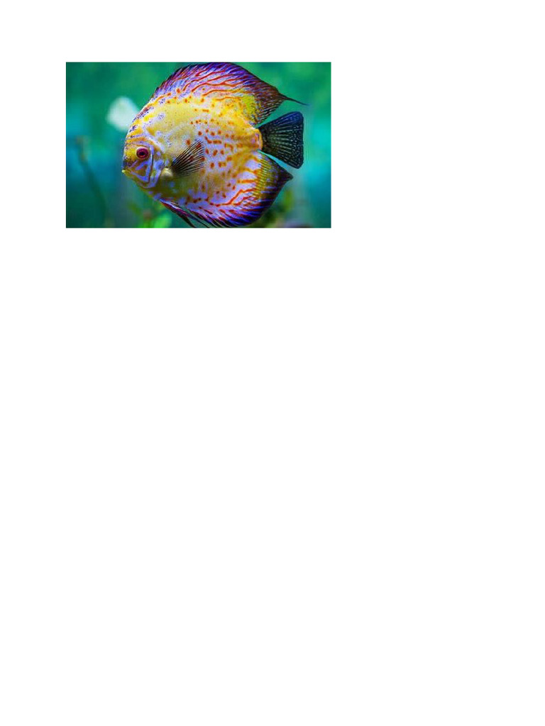 fish 3 | PDF