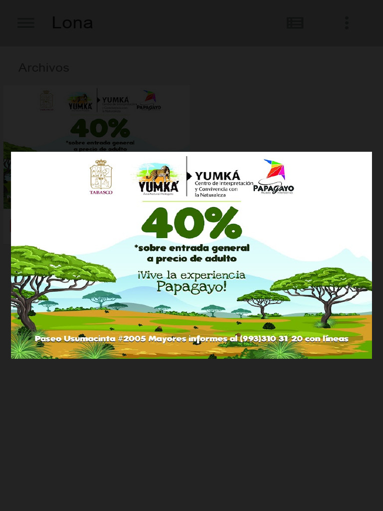 Lona - Google Drive | PDF