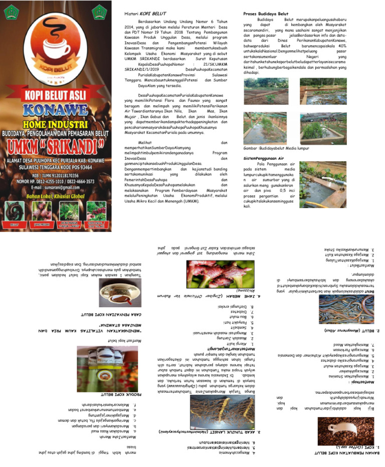 Brosur KOPI BELUT | PDF