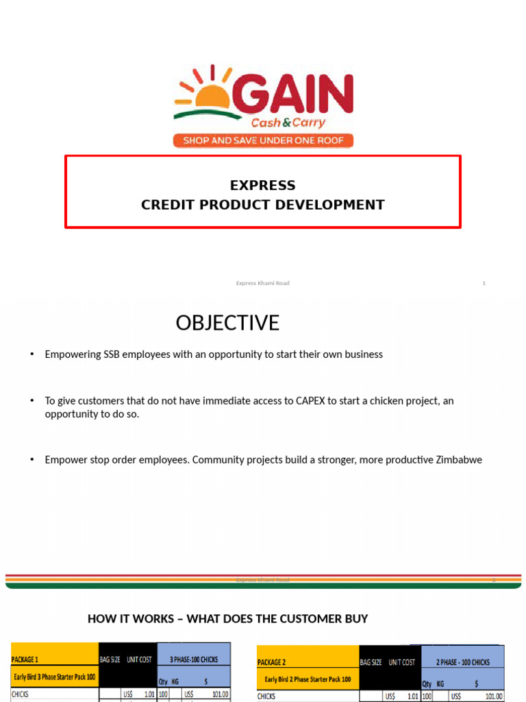 Product Development Project | PDF