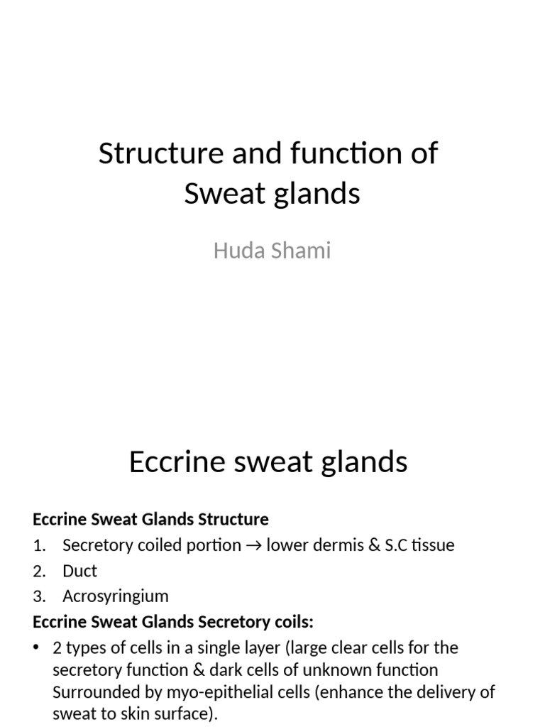 Structure and Function of Sweat Glands | PDF