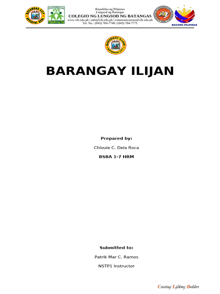 BRGY PROFILING With Format | PDF
