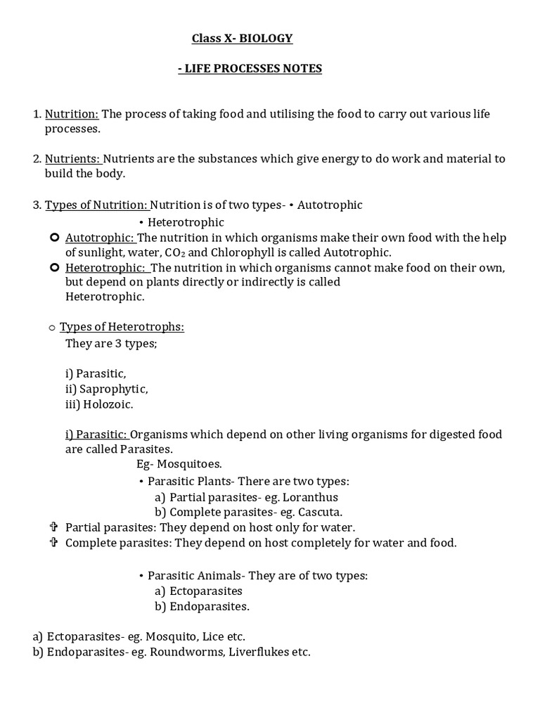 Life Processes Notes Class 10 2.0 | PDF | Stomach | Digestion