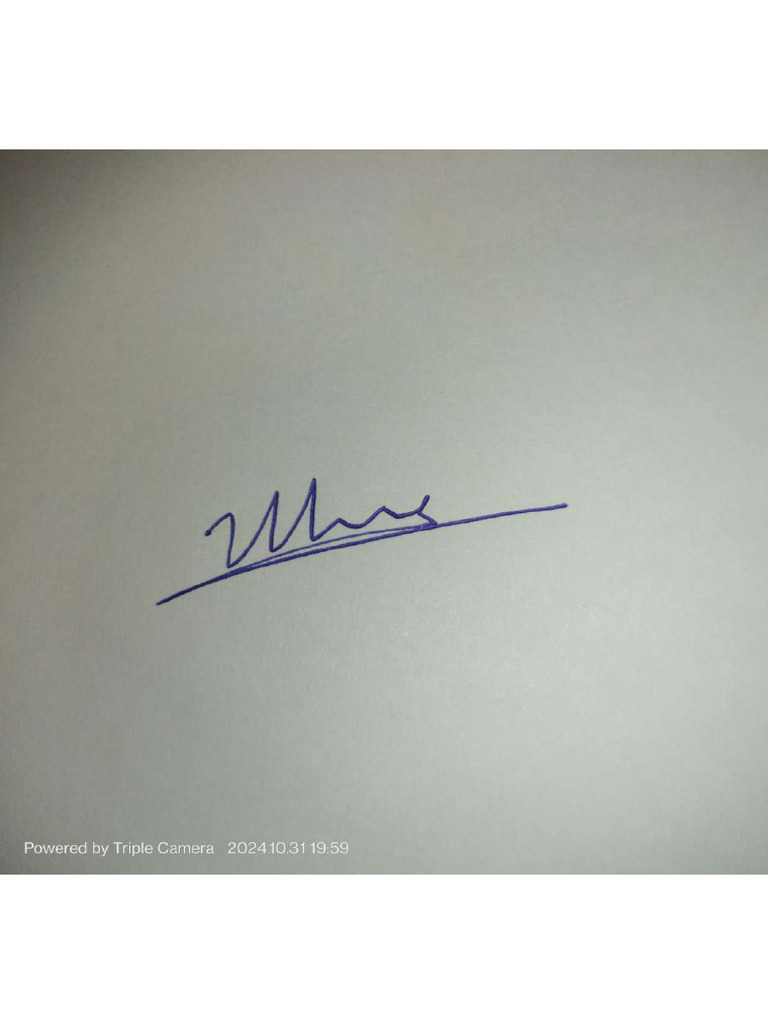 Blue Pen Sign | PDF