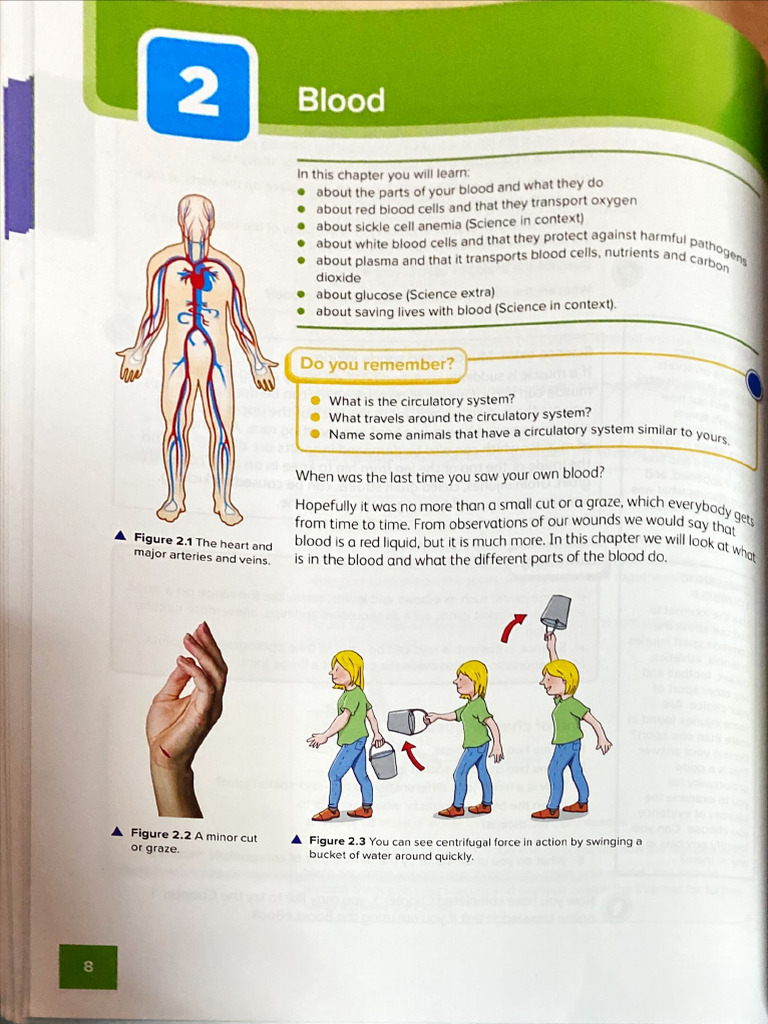Science Grade 8 - Chapter 2 | PDF