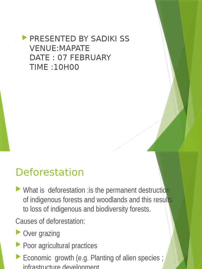 Deforestation Presentation 2024 - 120143 | PDF