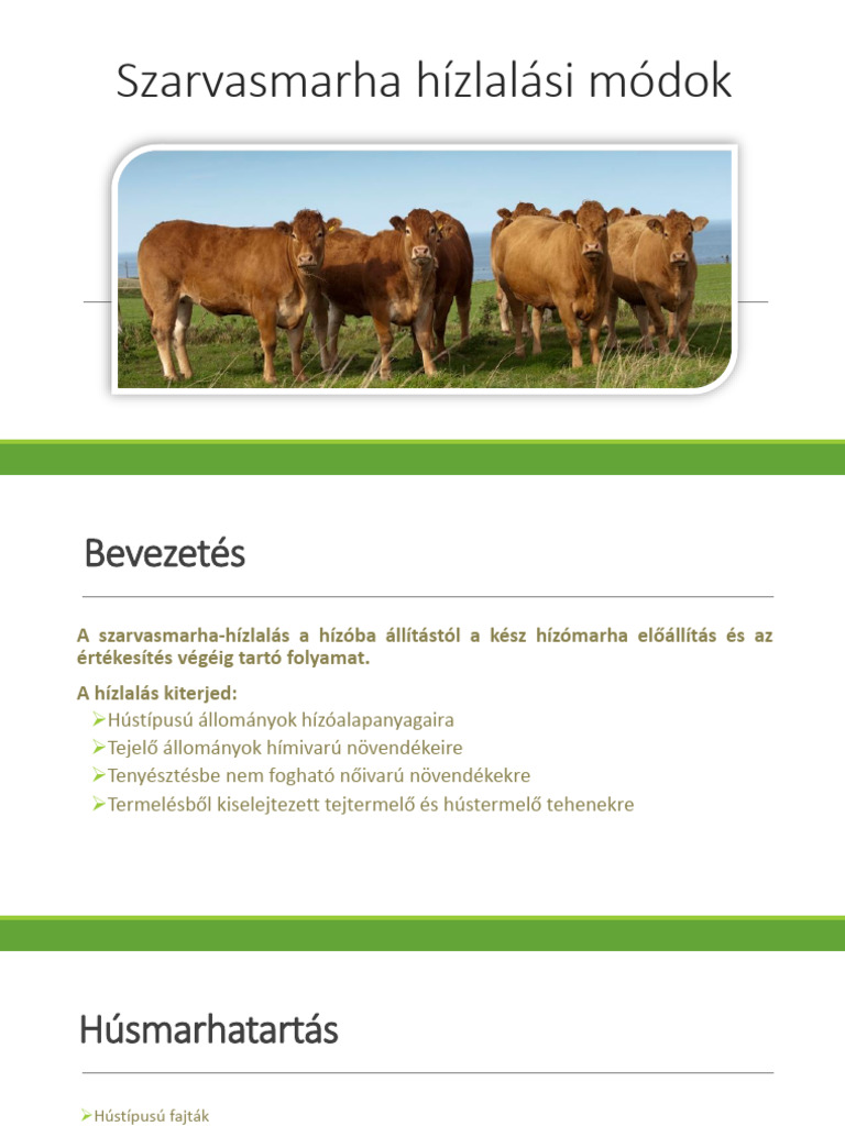 Ea. Szarvasmarha Hízlalási Módok | PDF