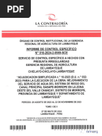 Informe Caucion | PDF