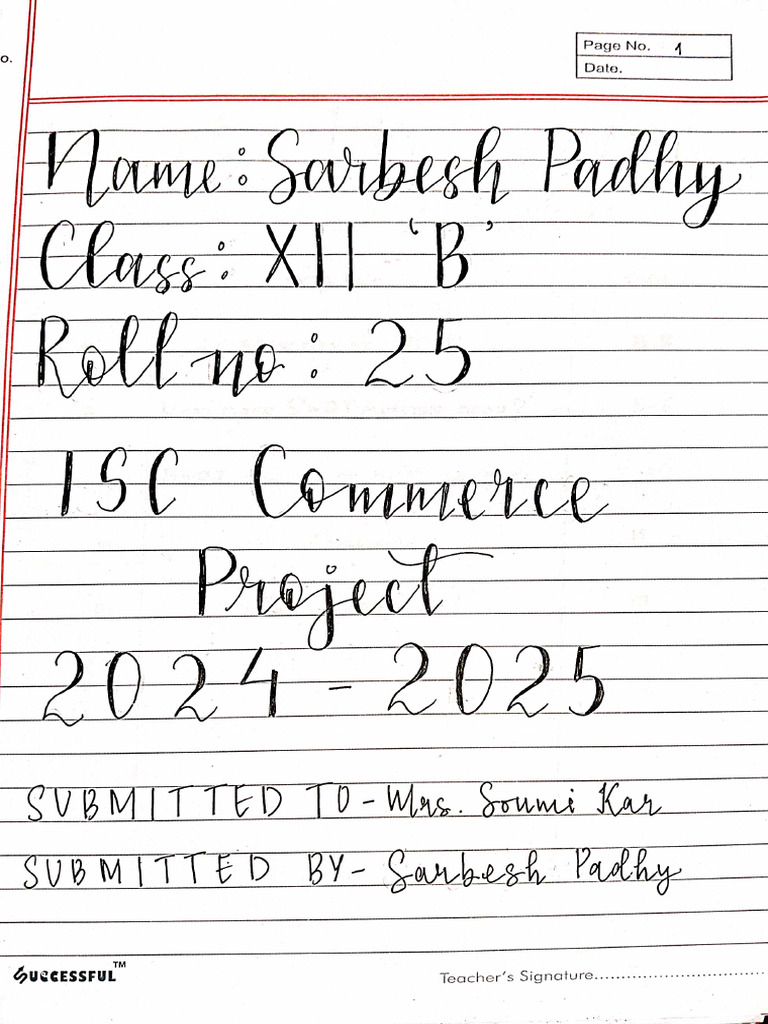 Sarbesh Padhy Commerce Proj | PDF